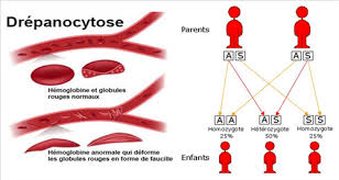 Solidarité Handicap Autour Des Maladies Rares