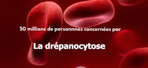 Solidarité Handicap Autour Des Maladies Rares